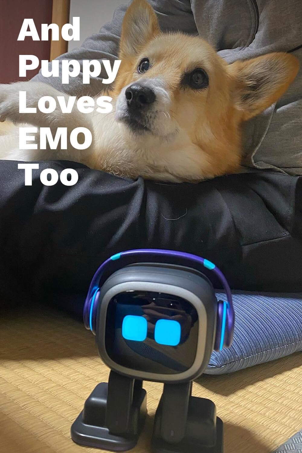 EMO Go Home AI Desktop Pet Robot with EMO Smart Lighting Automatic ...